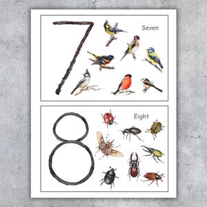 NATURE Counting Flashcards, 1 to 10 Counting, Toddler Preschool ...