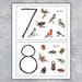 NATURE Counting Flashcards, 1 to 10 Counting, Toddler Preschool ...