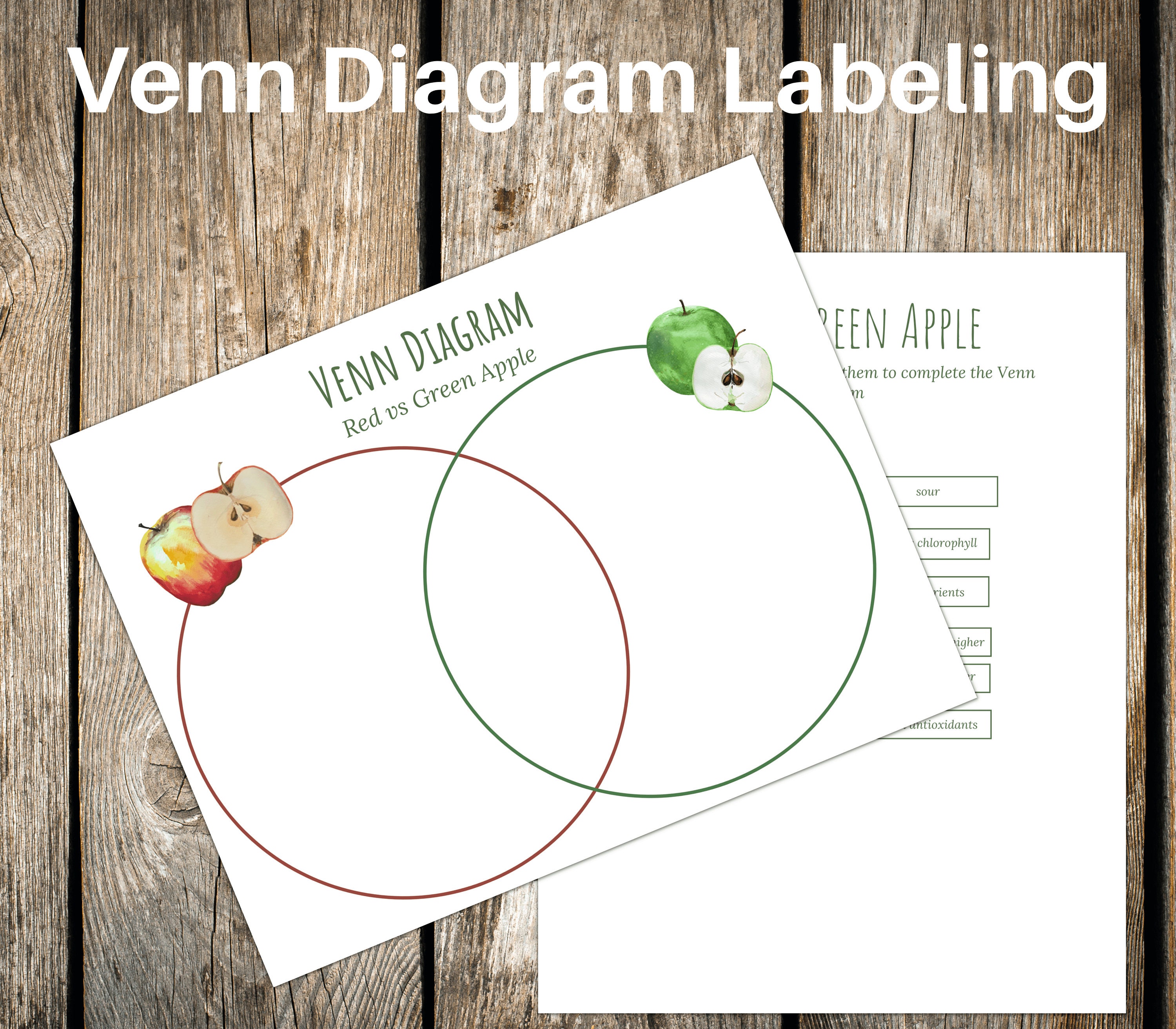 RED Vs GREEN APPLE Venn Diagram Activity Homeschool - Etsy