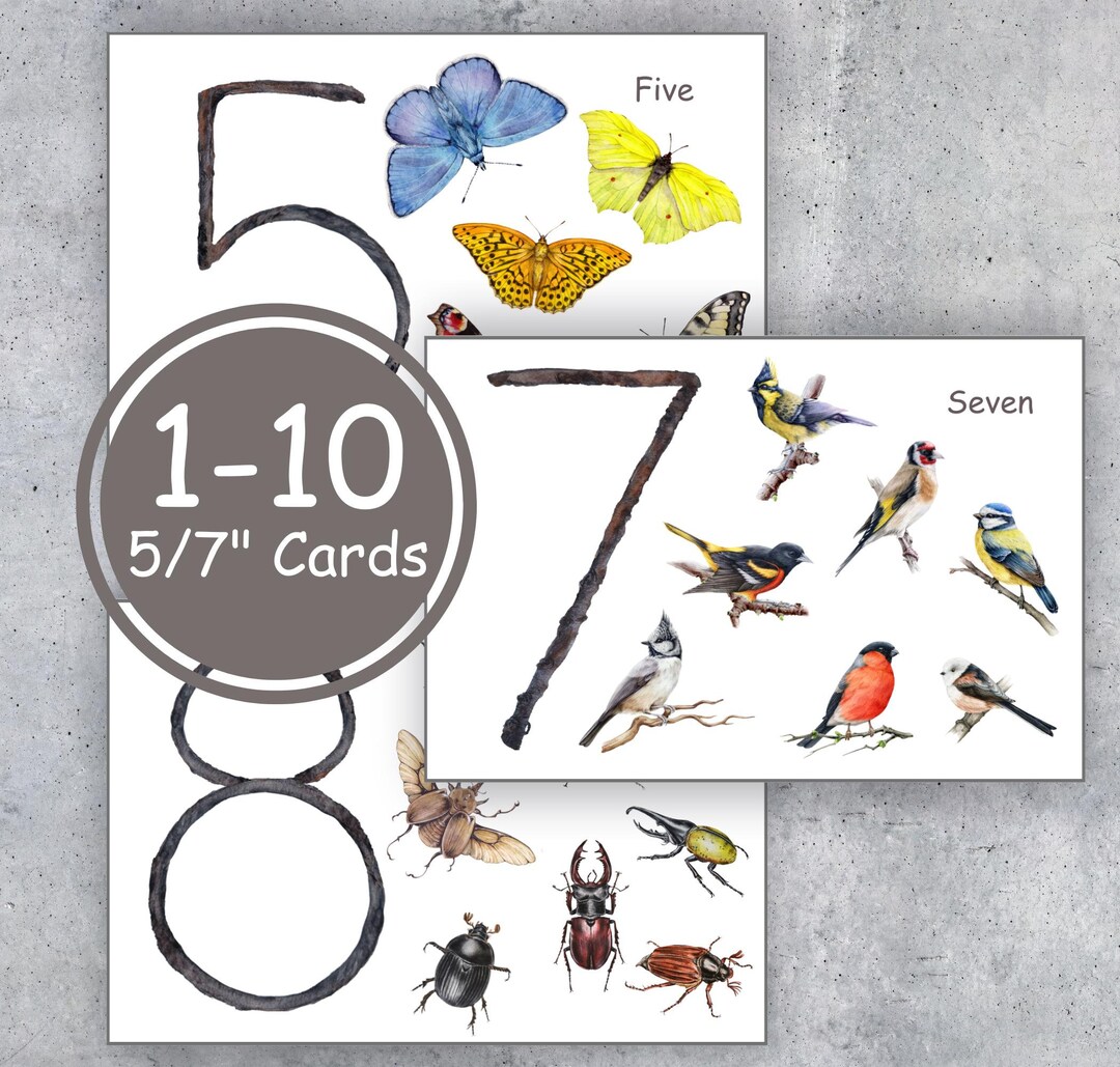 NATURE Counting Flashcards, 1 to 10 Counting, Toddler Preschool ...