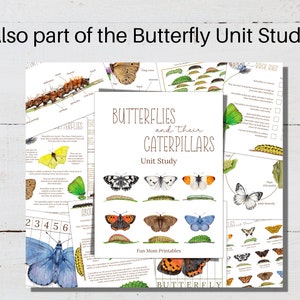 BUTTERFLY Anatomy, Poster + Labeling and Tracing Activities+ Fact Cards ...