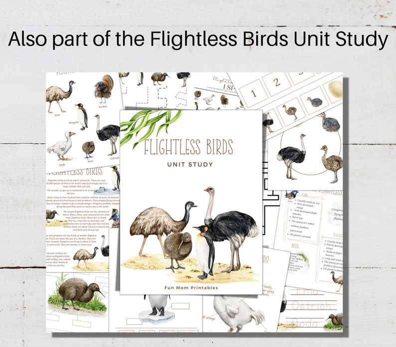 FLIGHTLESS BIRDS Poster, Fact Cards and 3-part Cards, Homeschool ...
