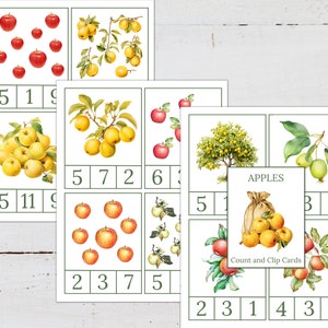 APPLE Unit Study, Life Cycle, Anatomy, Nature Study, Science ...