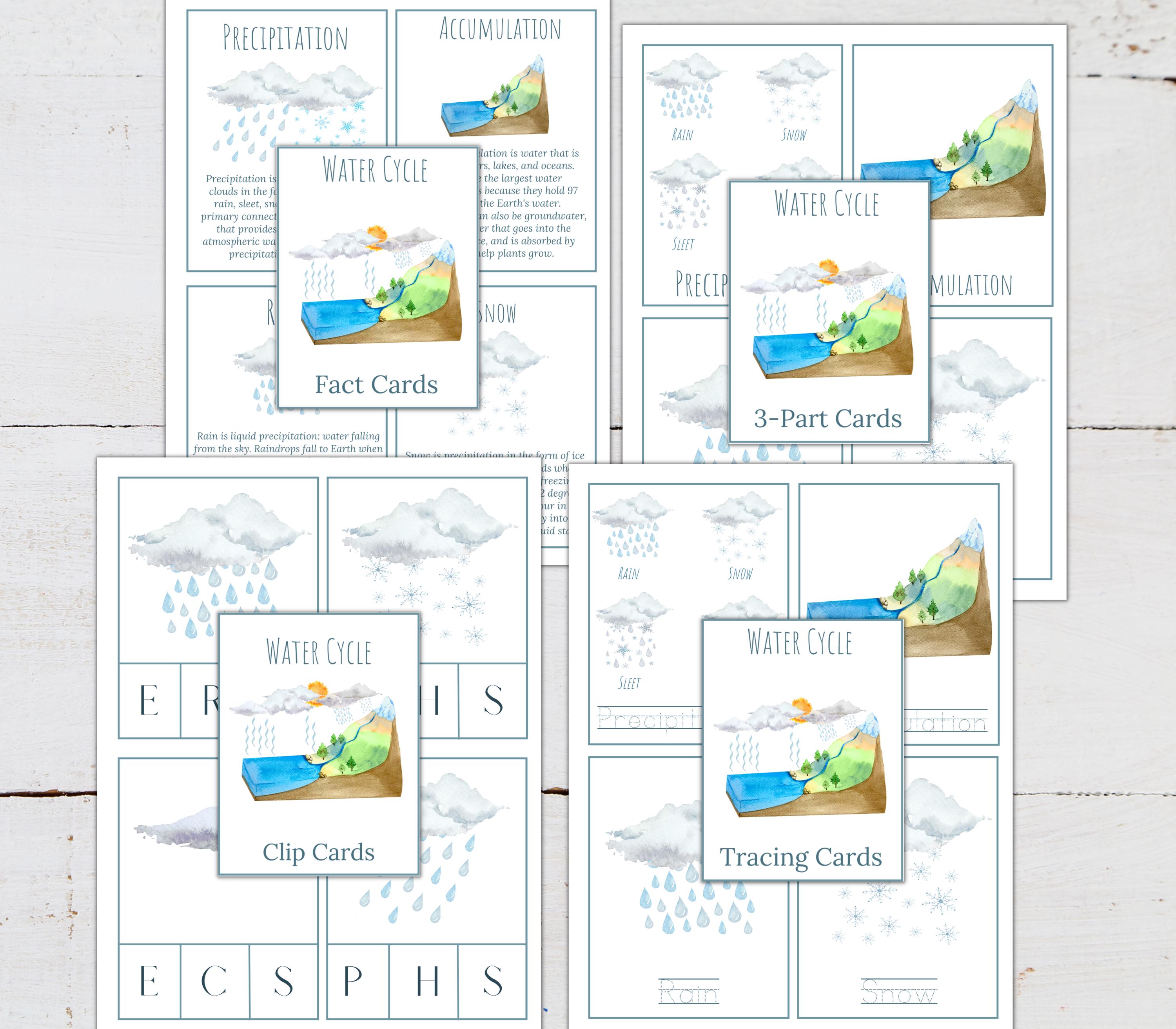 WATER CYCLE Unit Study, Process, Nature Study, Science, Handwriting ...