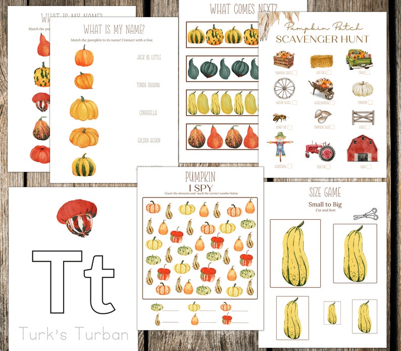 PUMPKIN Unit Study Life Cycle Anatomy Nature Study - Etsy