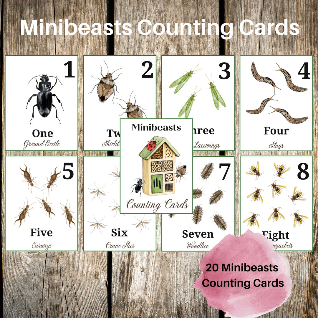 1 to 20 Minibeast Counting Cards, Bugs, Insects, Nature, Digital DIY ...
