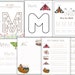 Moths Unit Study: Life Cycle, Anatomy, Homeschool Printable (instant ...