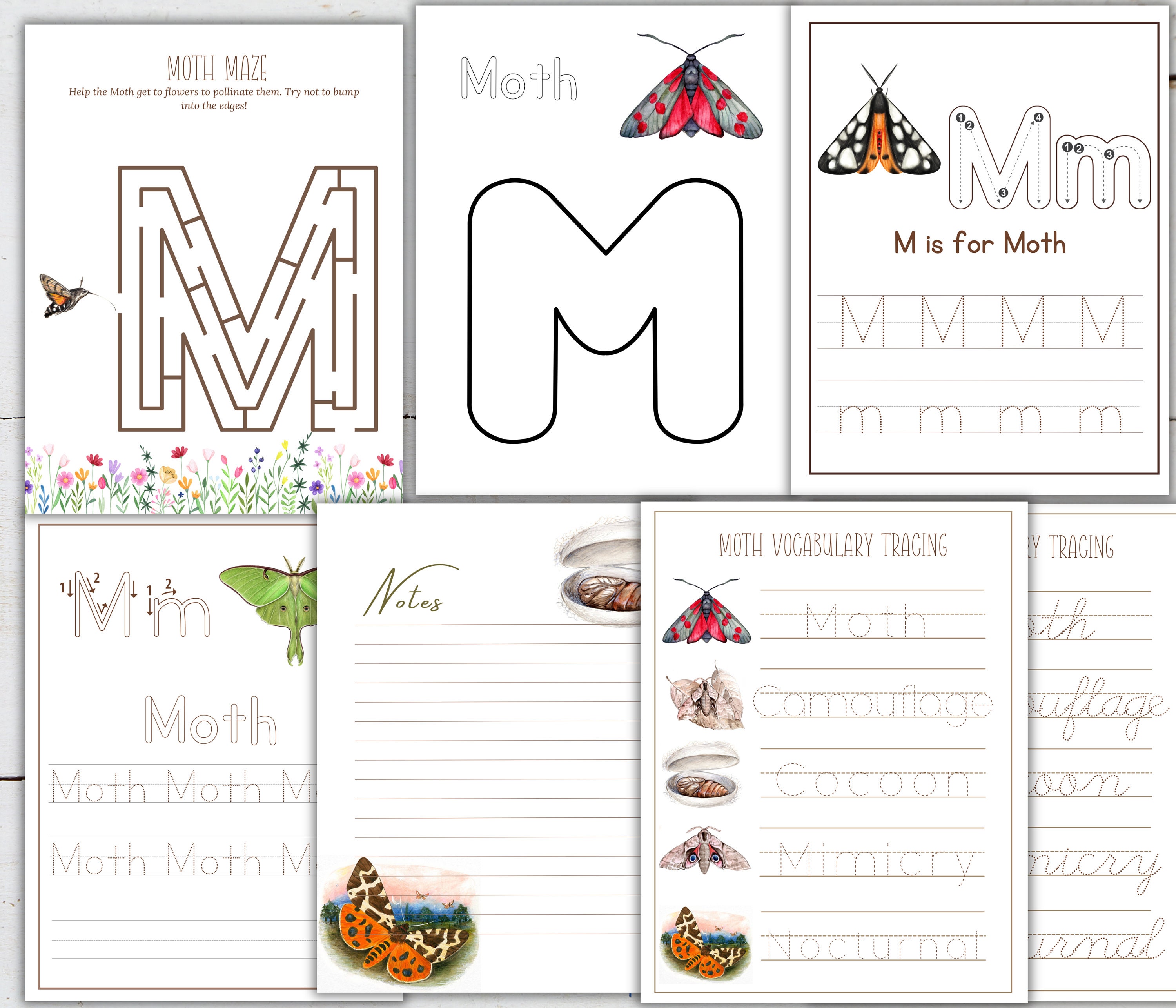 Moths Unit Study: Life Cycle, Anatomy, Homeschool Printable (instant ...