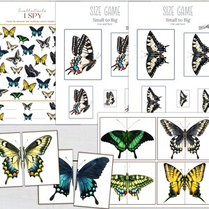Swallowtail BUTTERFLY Unit Study, Life Cycle, Anatomy, Nature Study ...