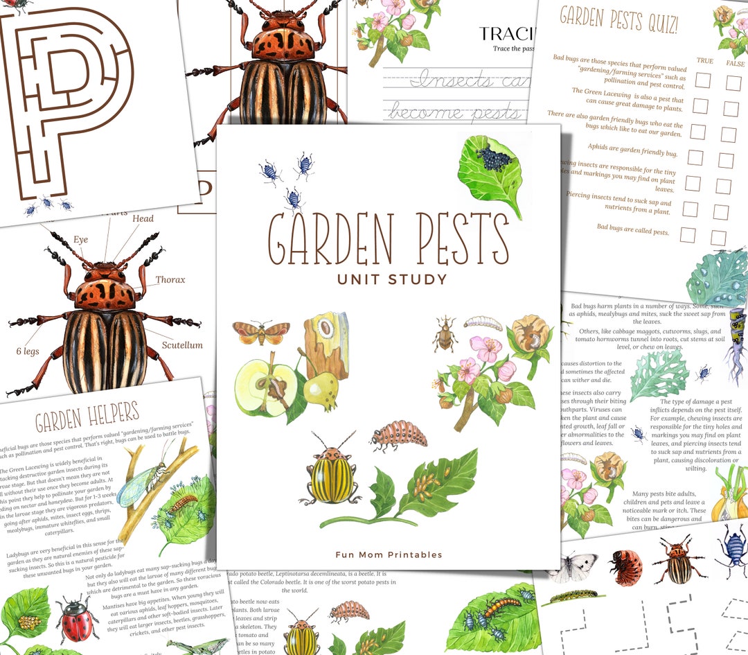 Garden Pests Unit Study: Homeschool Science (instant Download) - Etsy