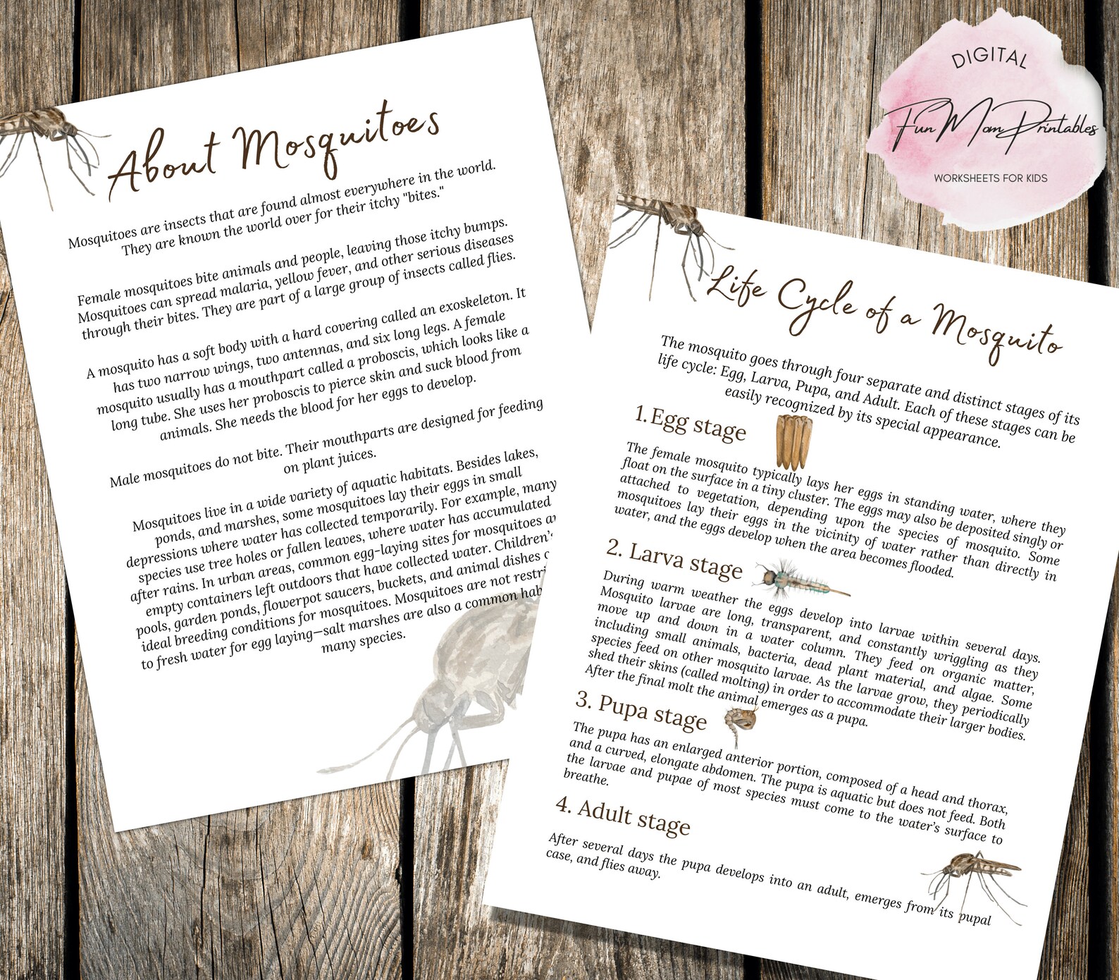 MOSQUITO Unit Study Life Cycle Anatomy Nature Study - Etsy