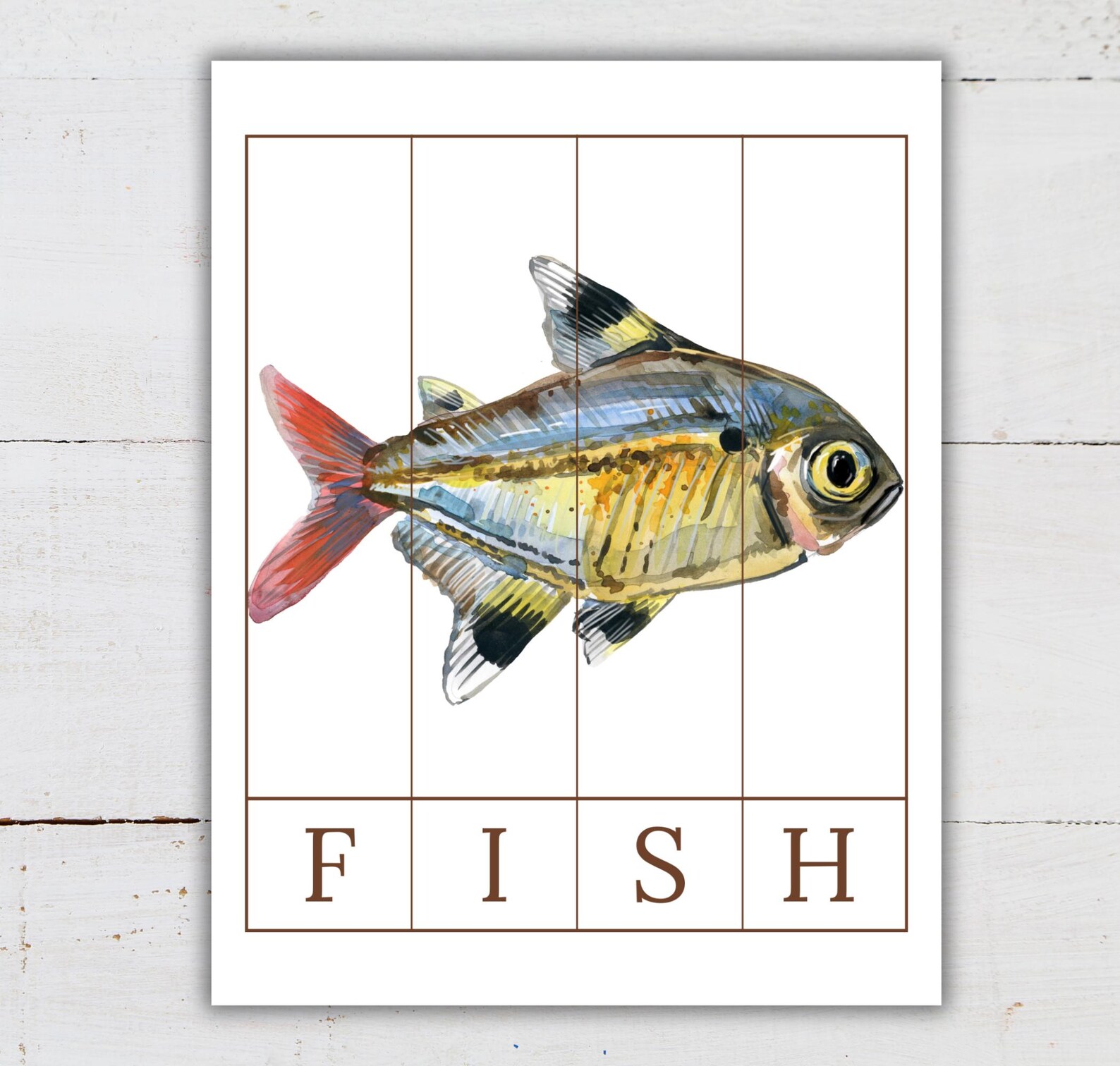Letter X Activity: X-ray Fish Alphabet Learning (printable Digital ...