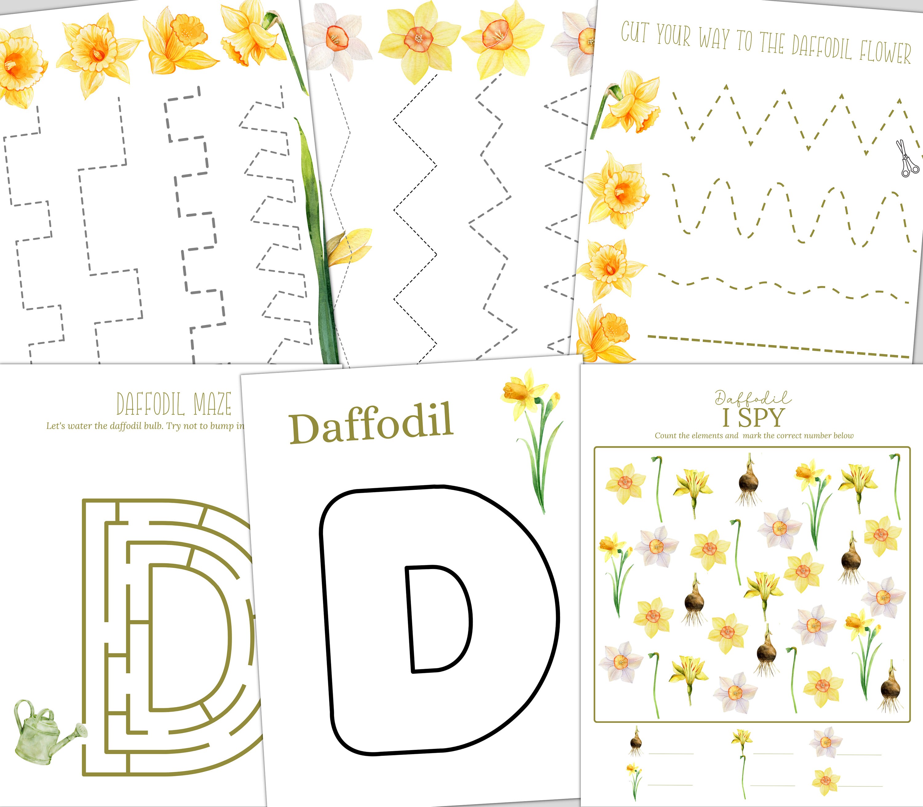 DAFFODIL Unit Study Life Cycle Anatomy Nature Study - Etsy UK