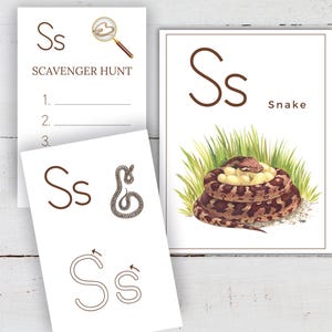 LETTER of the WEEK, S is for Snake, Letter S Activities, Alphabet ...