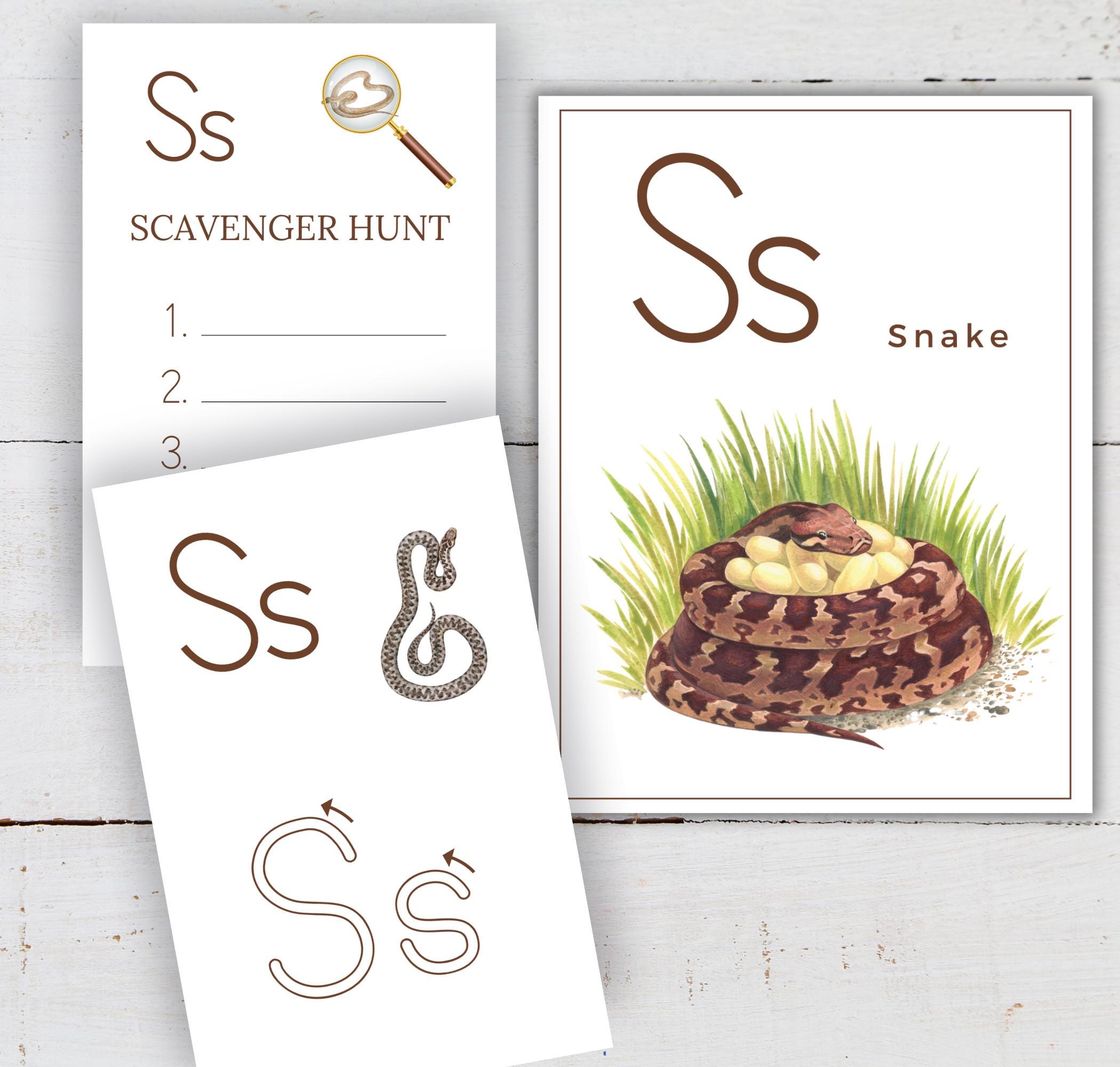 Letter S Snake Activities: Alphabet Learning Printable (instant ...