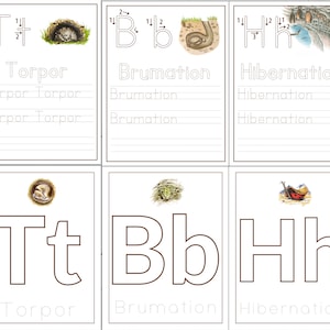 WINTER SLEEP Unit Study, Hibernation, Nature Study, Science ...