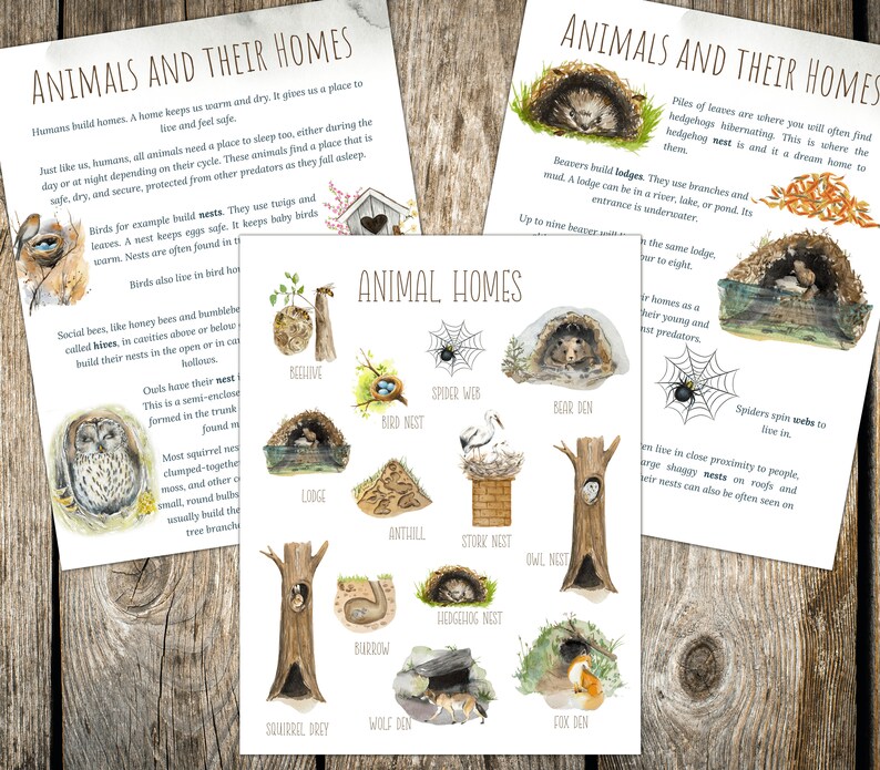 ANIMAL HOMES Unit Study Nature Study Science Handwriting - Etsy