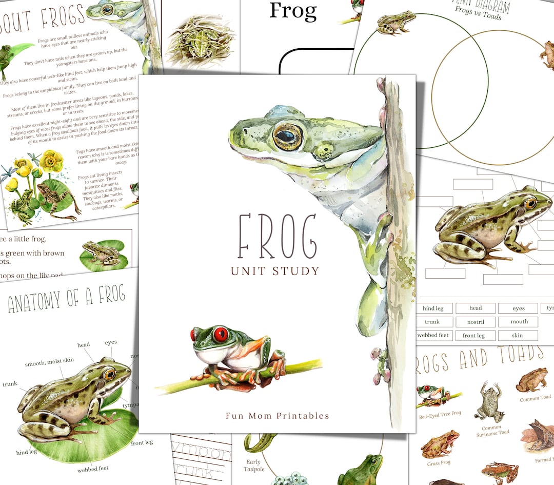 FROG Unit Study Life Cycle Anatomy Nature Study Science - Etsy UK