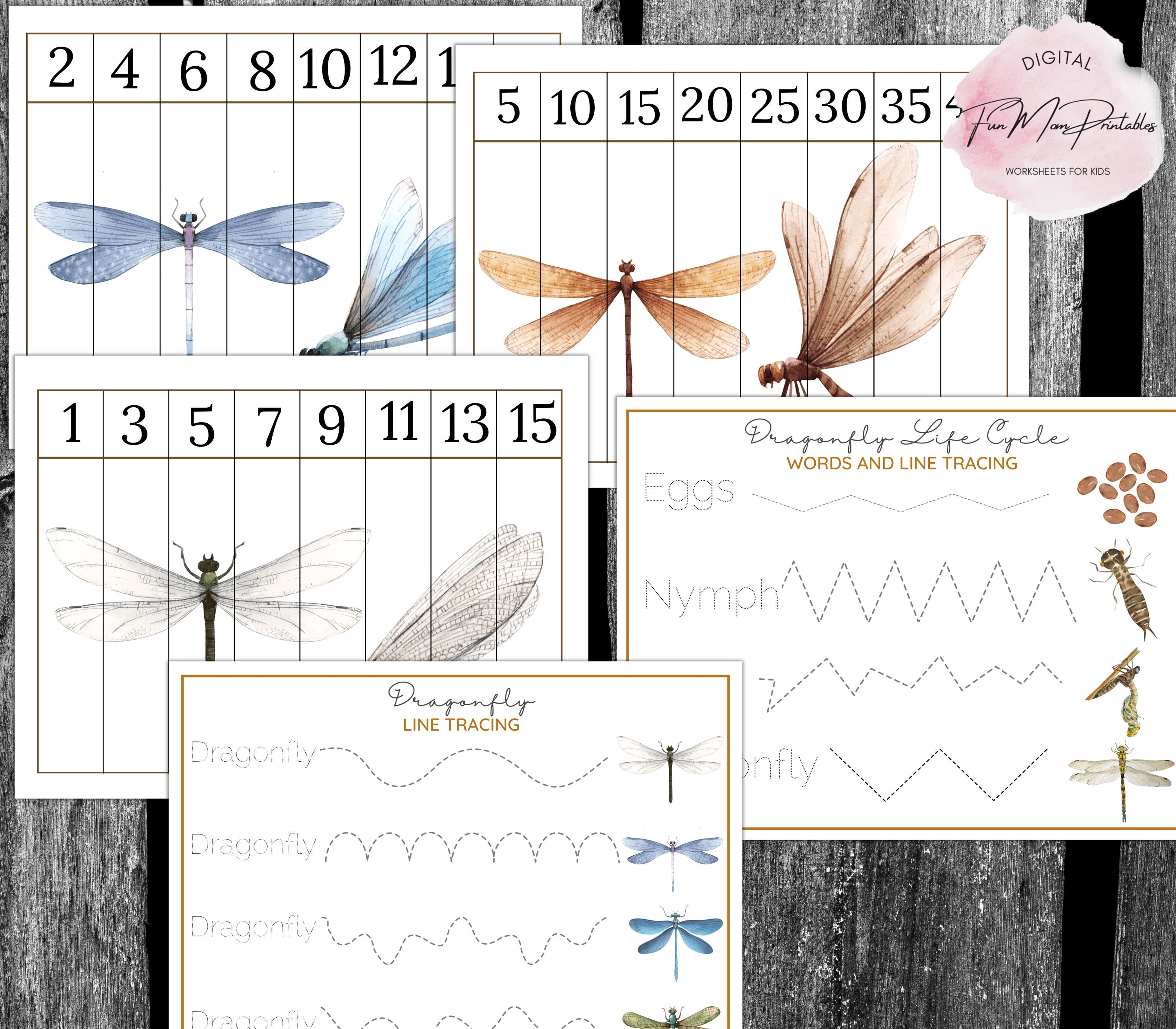 DRAGONFLY Unit Study Life Cycle Anatomy Nature Study - Etsy Australia