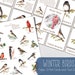 WINTER BIRDS Unit Study, Nature Study, Science, Handwriting, Homeschool ...