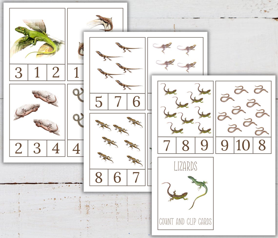 LIZARD Unit Study, Anatomy, Nature Study, Science, Handwriting ...