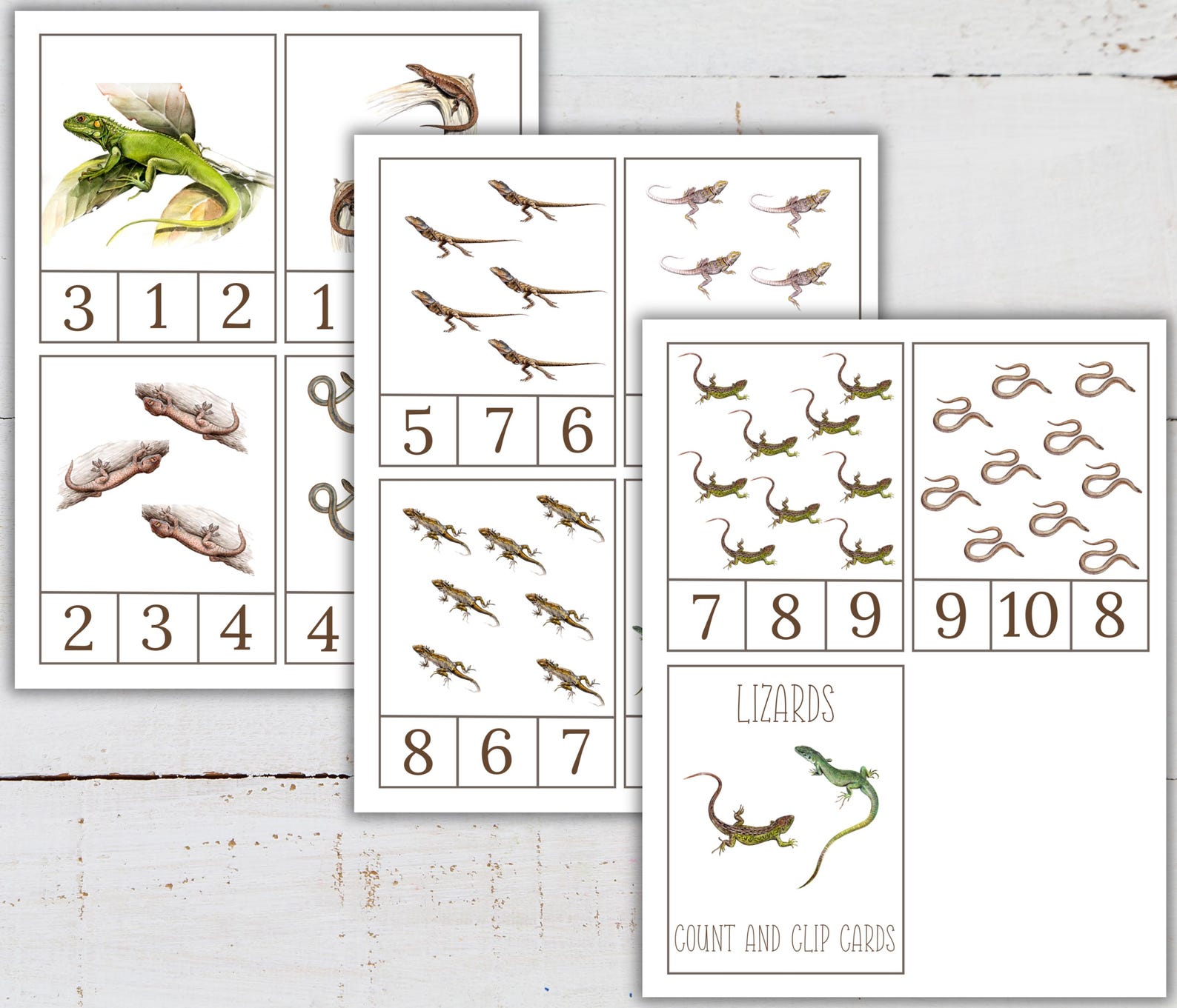 LIZARD Unit Study, Anatomy, Nature Study, Science, Handwriting ...