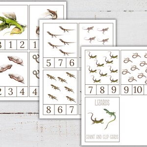 LIZARD Unit Study, Anatomy, Nature Study, Science, Handwriting ...