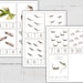 LIZARD Unit Study, Anatomy, Nature Study, Science, Handwriting ...