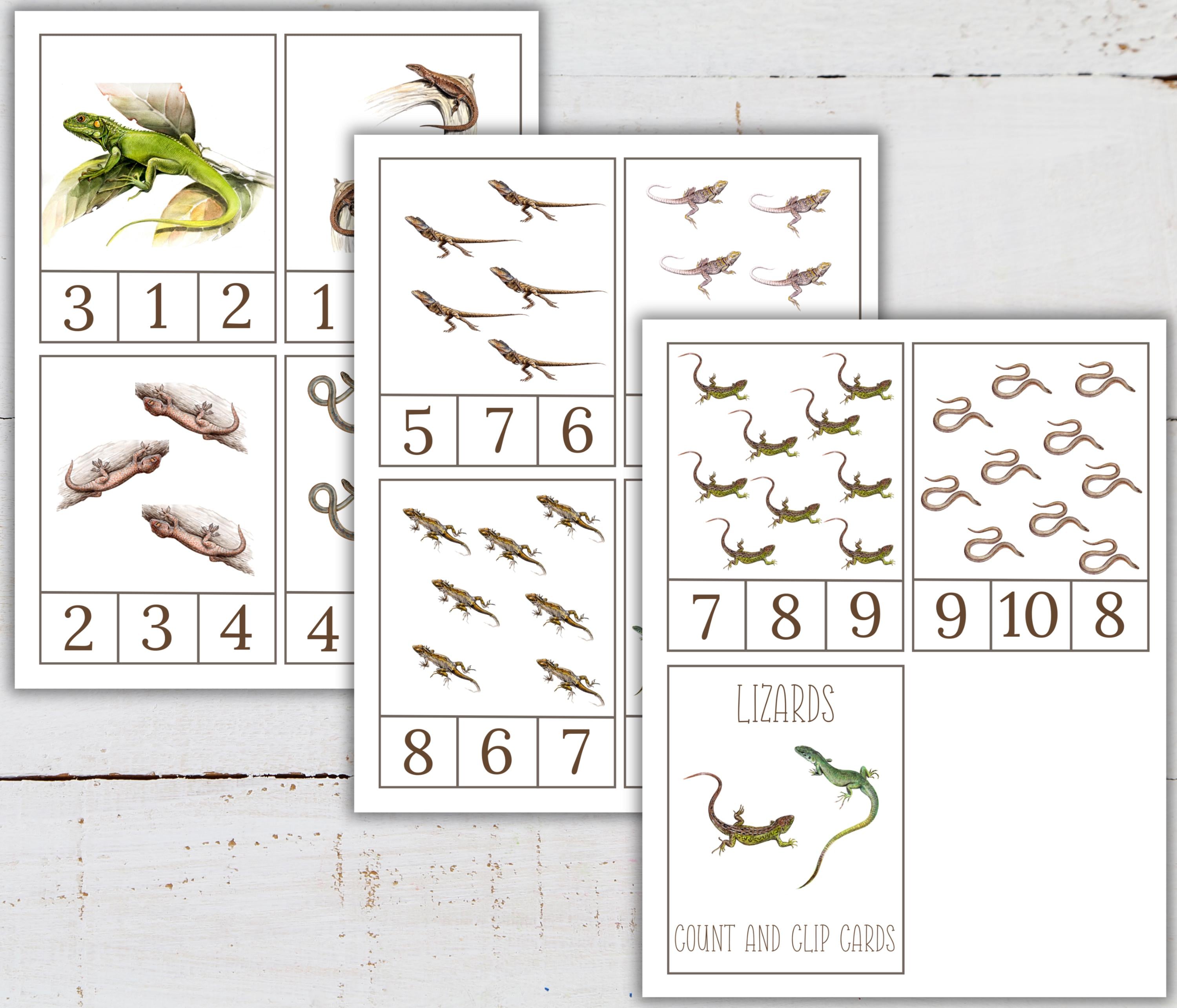 LIZARD Unit Study, Anatomy, Nature Study, Science, Handwriting ...