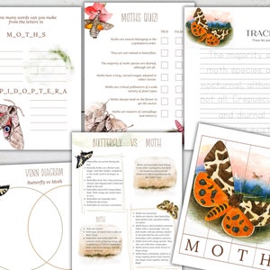 MOTHS Unit Study, Life Cycle, Anatomy, Nature Study, Science ...