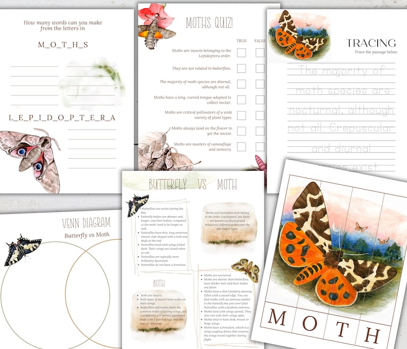 Moths Unit Study: Life Cycle, Anatomy, Homeschool Printable (instant ...