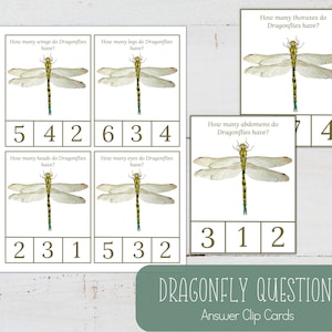 DRAGONFLY Unit Study, Life Cycle, Anatomy, Nature Study, Science ...