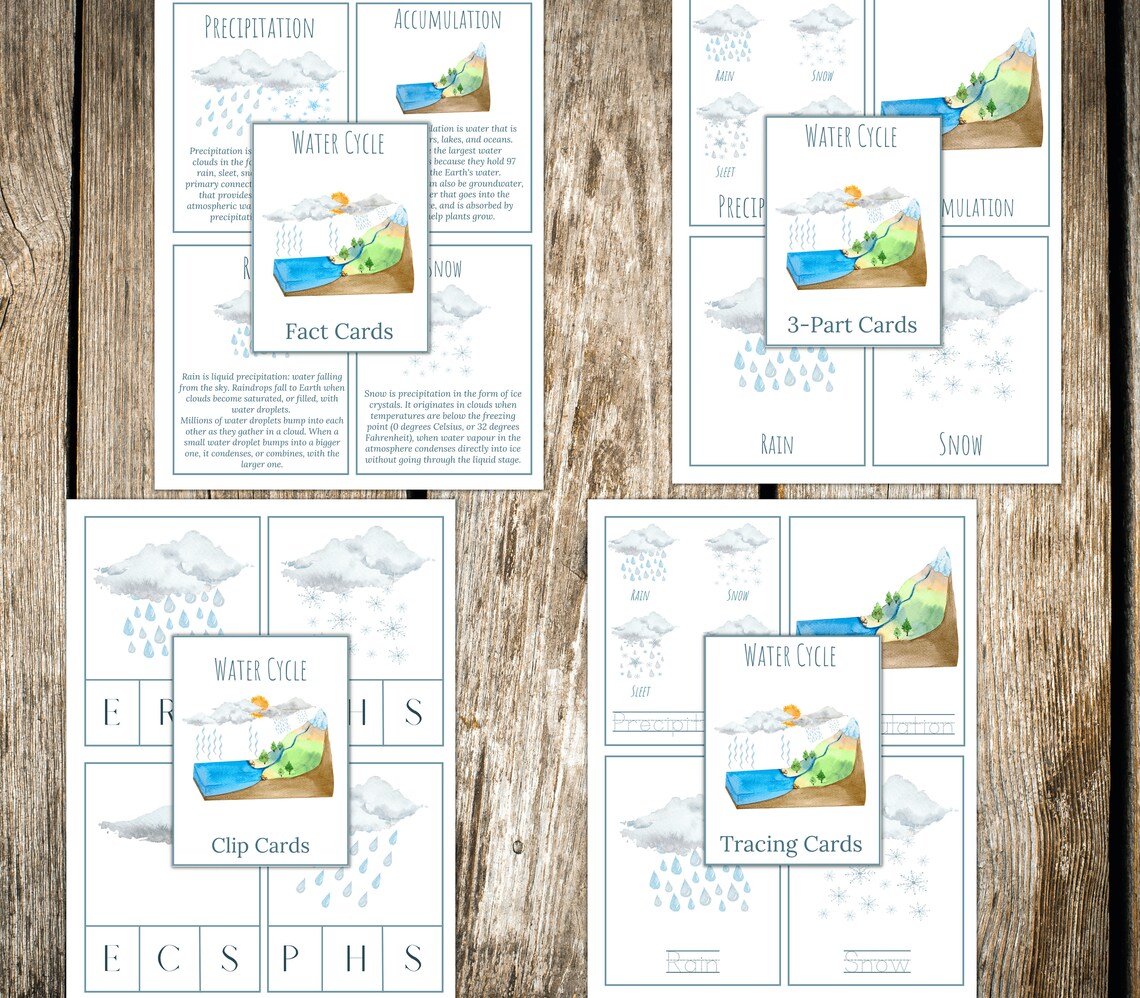 WATER CYCLE Unit Study Process Nature Study Science | Etsy