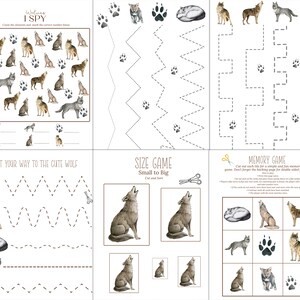 GREY WOLF Unit Study, Life Cycle, Anatomy, Nature Study, Science ...