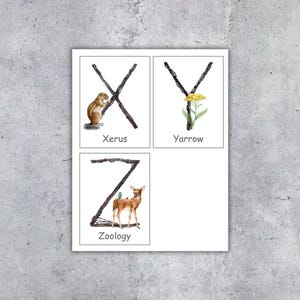 Forest ABC Flashcards, Instant Download - Etsy