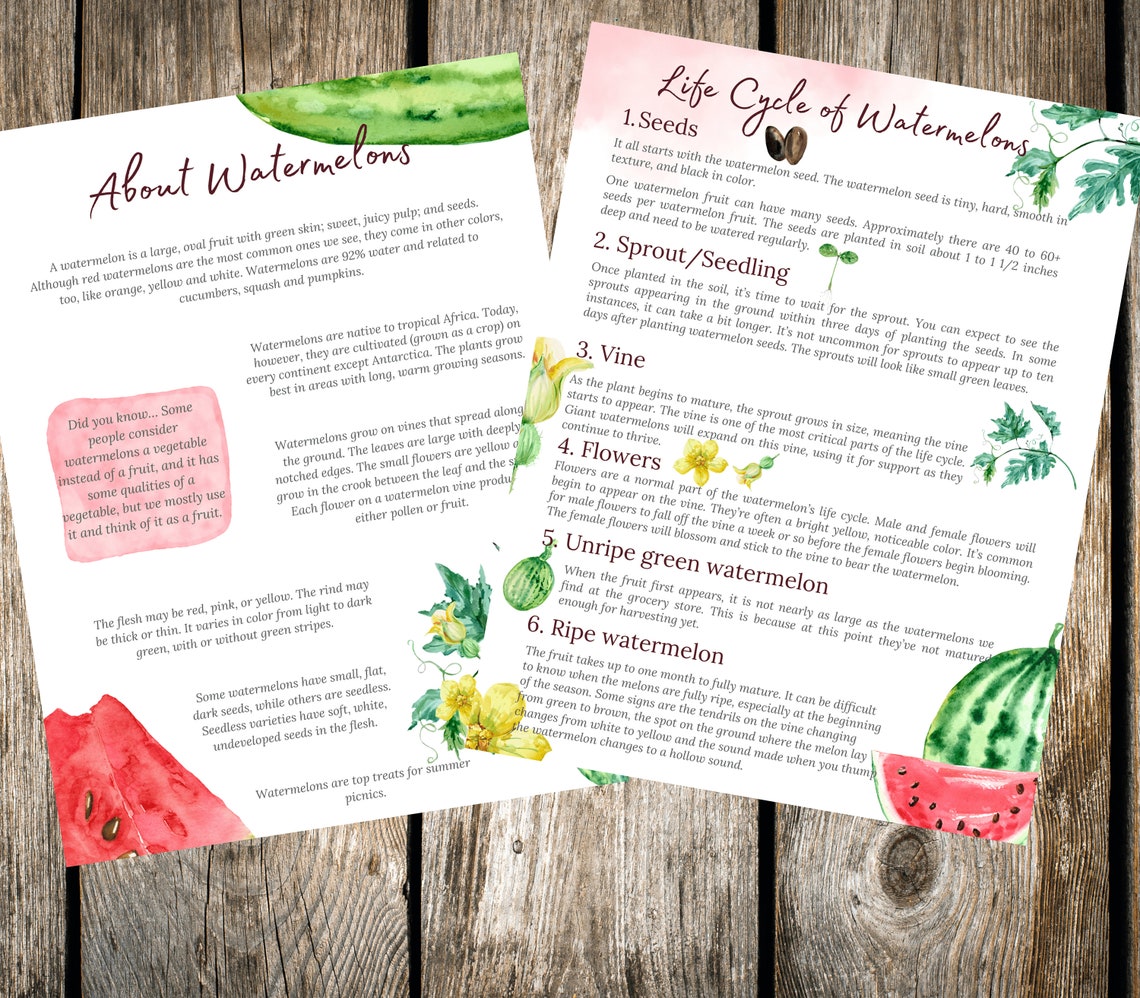 WATERMELON Unit Study Life Cycle Anatomy Nature Study - Etsy