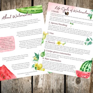 WATERMELON Unit Study Life Cycle Anatomy Nature Study - Etsy
