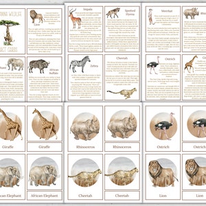 AFRICAN SAVANNA Animals Mini Poster + 3-part Cards + Fact Cards ...