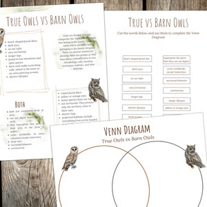 OWLS Unit Study, Life Cycle, Anatomy, Nature Study, Science ...