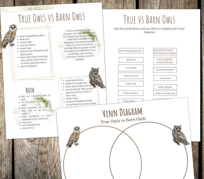 OWLS Unit Study Life Cycle Anatomy Nature Study Science - Etsy