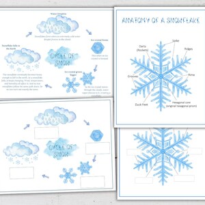 Weather Unit Study Bundle: Rainbow, Water Cycle, Snowflakes (homeschool ...