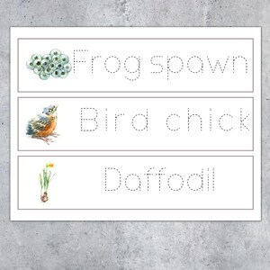 Spring Preschool Printable Word Tracing Strips. Kindergarten ...