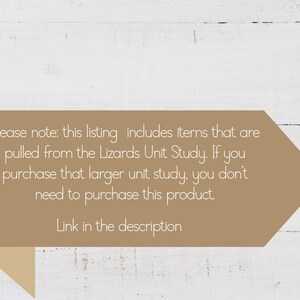 LIZARDS Mini Poster, Fact Cards and 3 Part Cards, Nature, Digital DIY ...