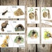 ANIMAL HOMES Unit Study Nature Study Science Handwriting - Etsy