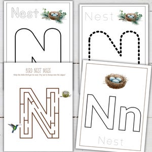 LETTER of the WEEK, N is for Nest, Letter N Activities, Alphabet ...