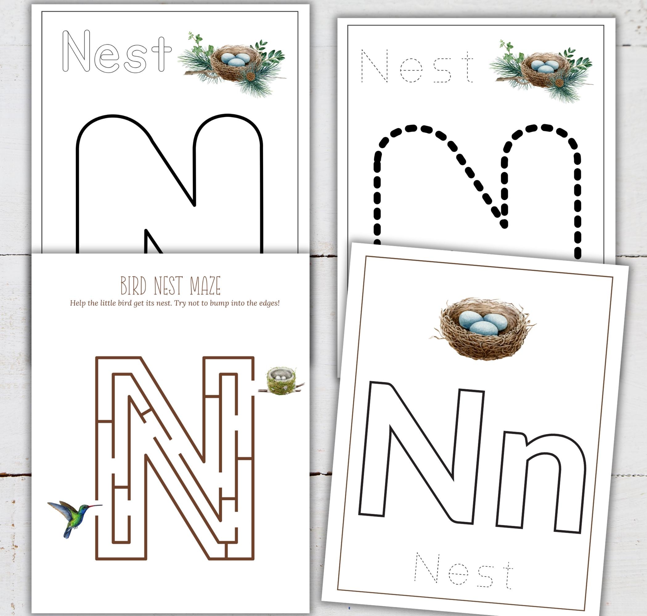 Letter N is for Nest: Alphabet Learning Printable (digital Download) - Etsy