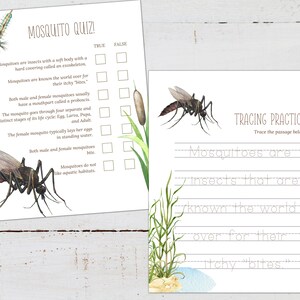MOSQUITO Unit Study, Life Cycle, Anatomy, Nature Study, Science ...