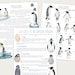 PENGUINS Unit Study, Life Cycle, Anatomy, Nature Study, Science ...