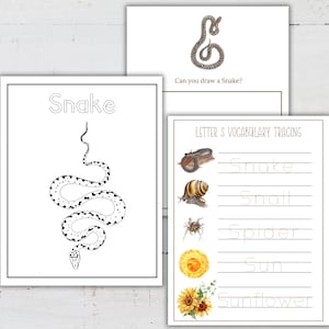 LETTER of the WEEK, S is for Snake, Letter S Activities, Alphabet ...