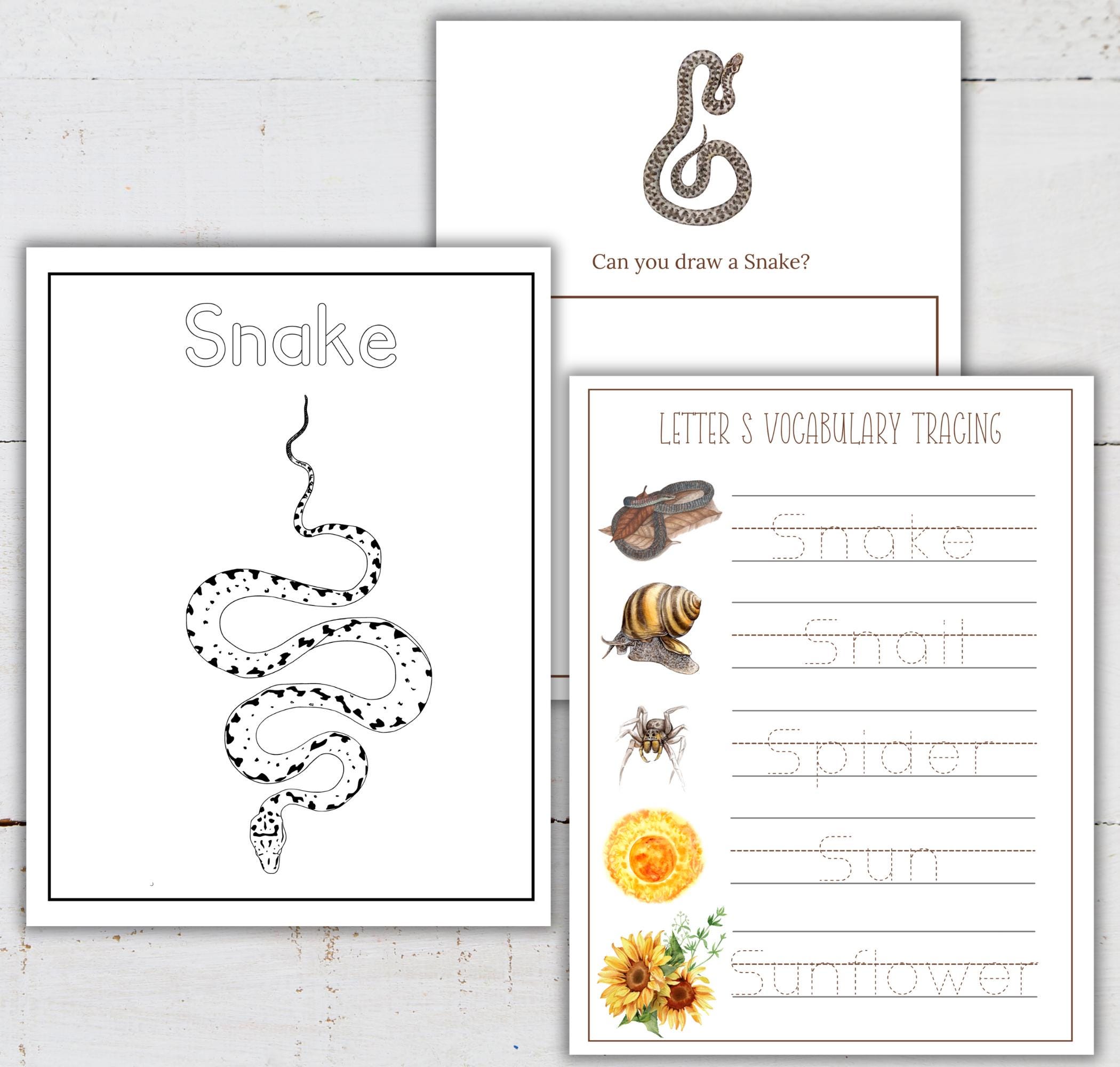 Letter S Snake Activities: Alphabet Learning Printable (instant ...